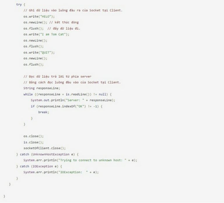 Socket là gì? Kiến thức nền tảng về giao thức TCP/IP và UDP